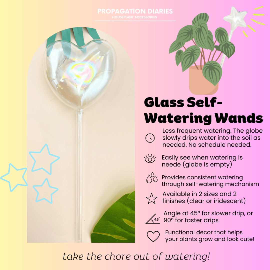Glass Self-Watering Wands – Propagation Diaries