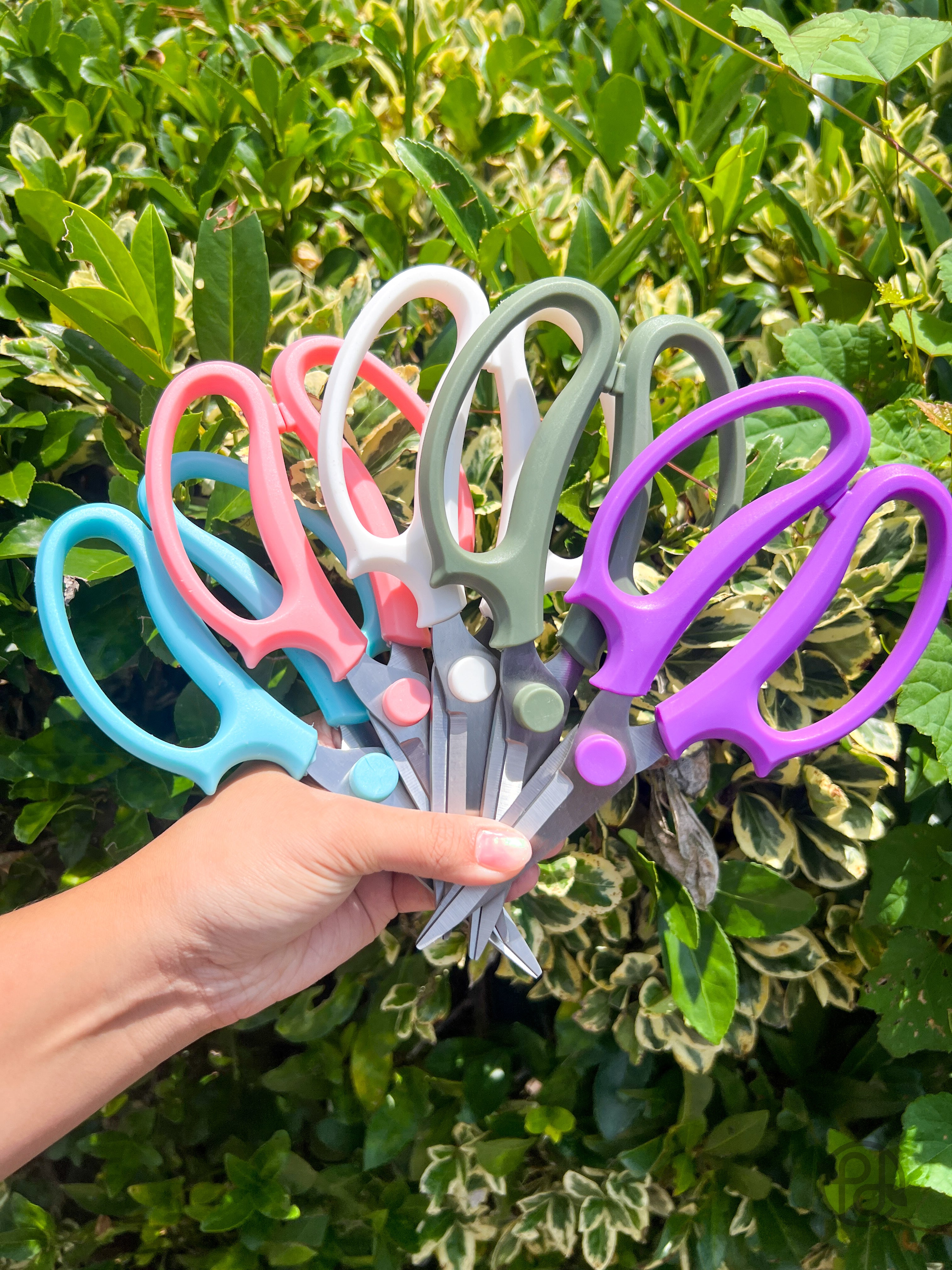 Pruning Shears – Propagation Diaries