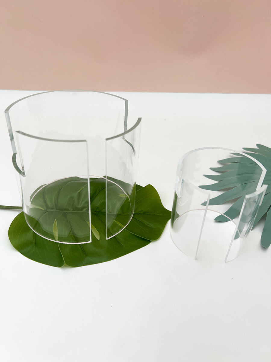 Stem Collar – Propagation Diaries