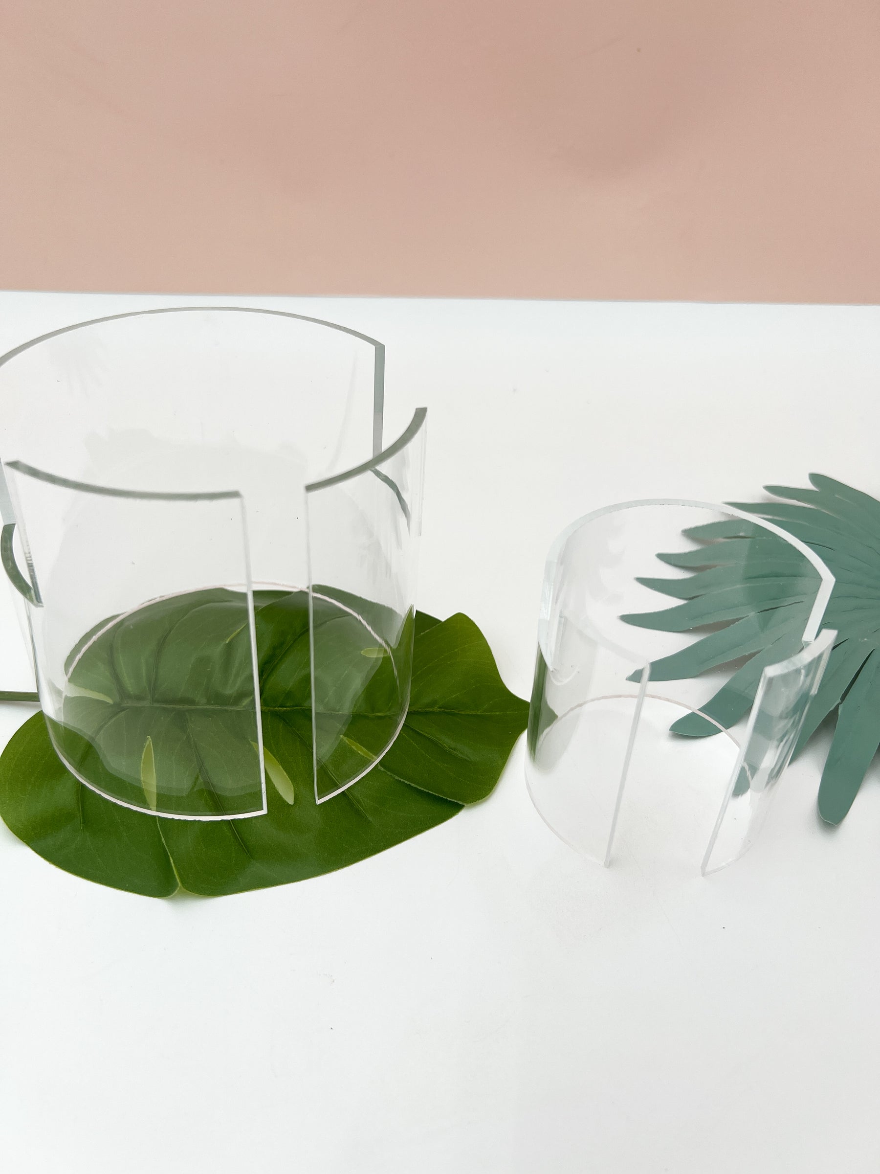 Stem Collar – Propagation Diaries