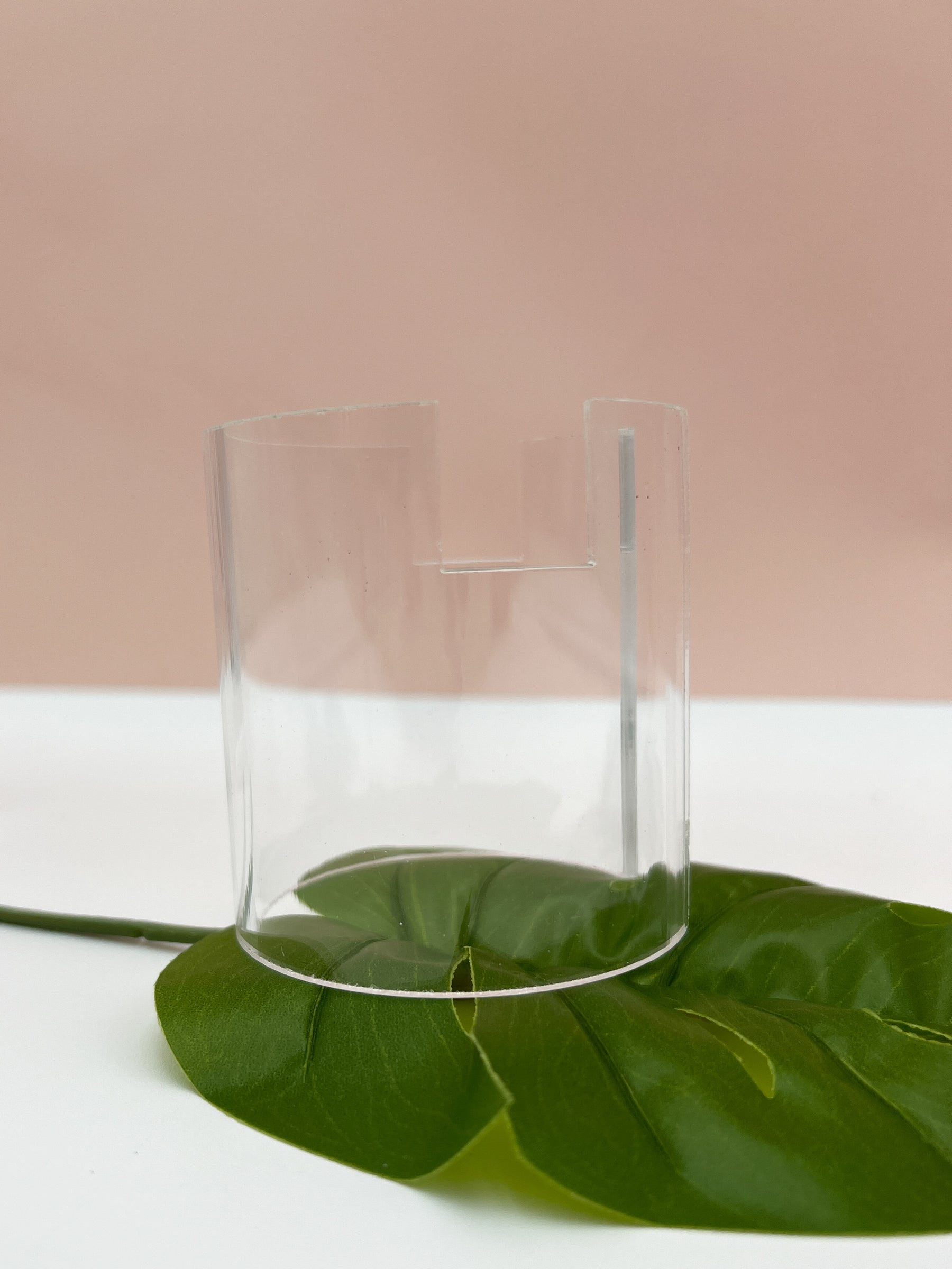 Stem Collar – Propagation Diaries