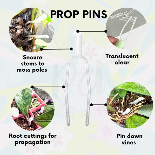 Plant Prop Pins | Strawberry Plant Pins | Propagation Diaries